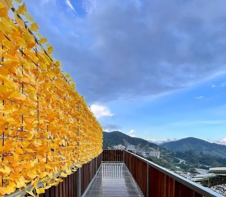 No.1 Flora Park Cameron Highland - Everything You Need To Know