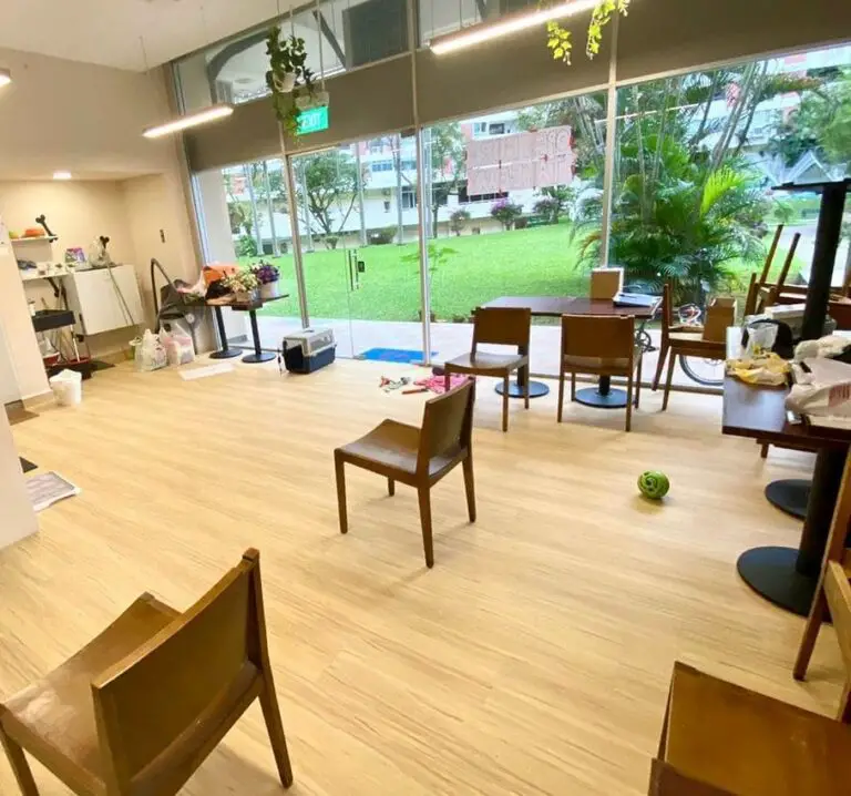 11 Best Dog Cafe Singapore For Friendly Dog Petting Lovers