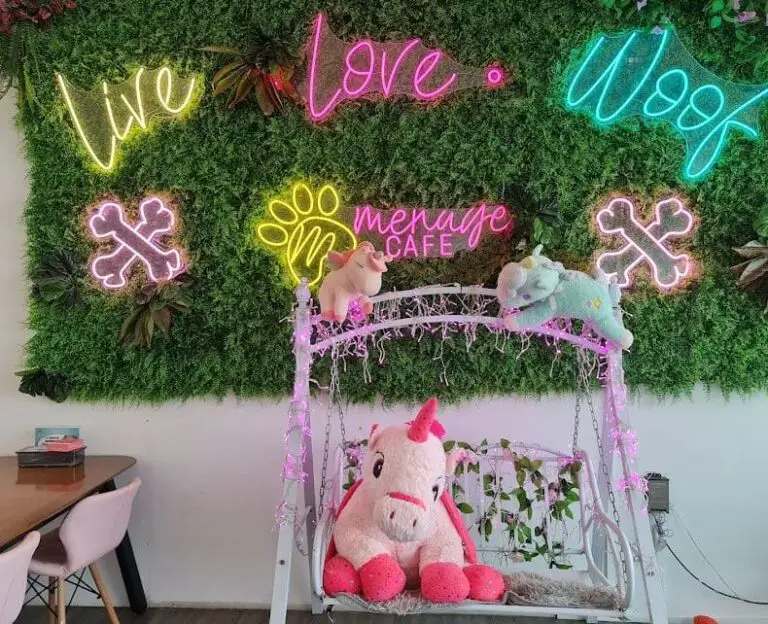 11 Best Dog Cafe Singapore For Friendly Dog Petting Lovers - Valerie Seow