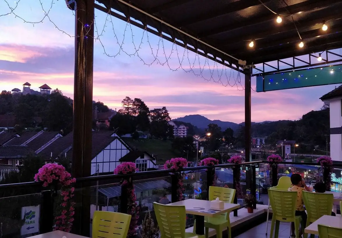 10 Best Steamboat Cameron Highland - You’ll Love No. 7