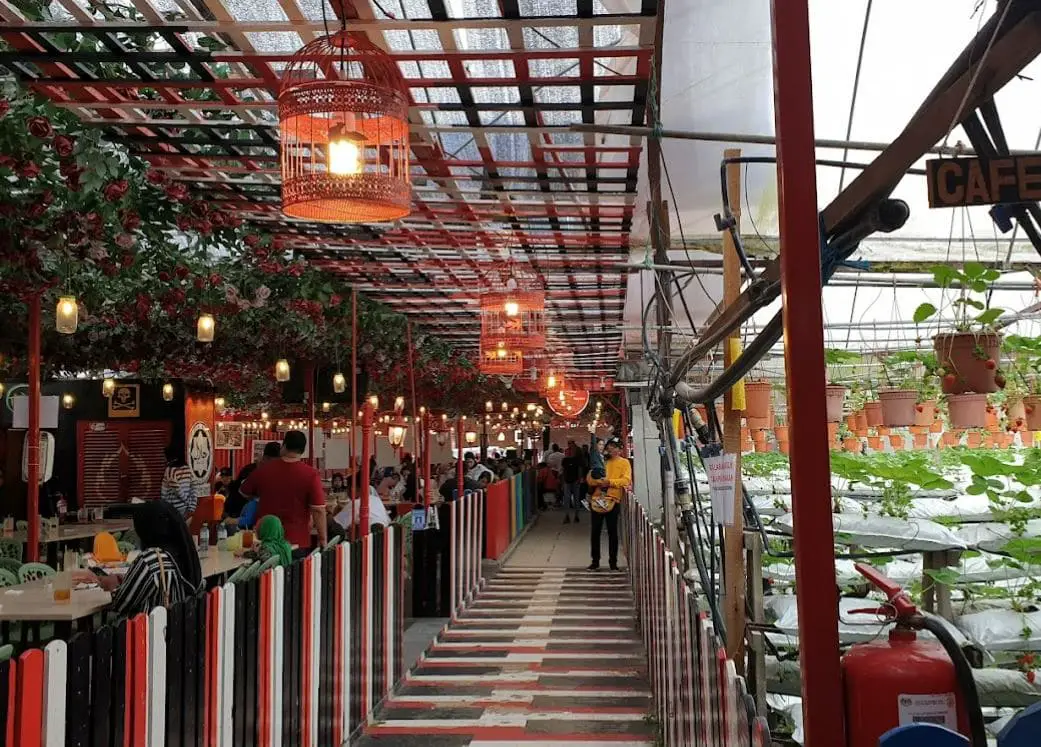 10 Best Cameron Highland Breakfast Spot To Start Your Morning