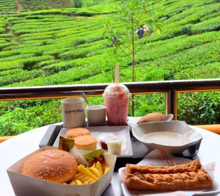 10 Best Cameron Highland Breakfast Spot To Start Your Morning